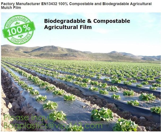 Factory Manufacturer EN13432 100% Compostable and biodegradable ...
