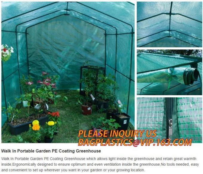 Polycarbonate Plastic Sheet Agricultural Mini Garden Green House Walk ...